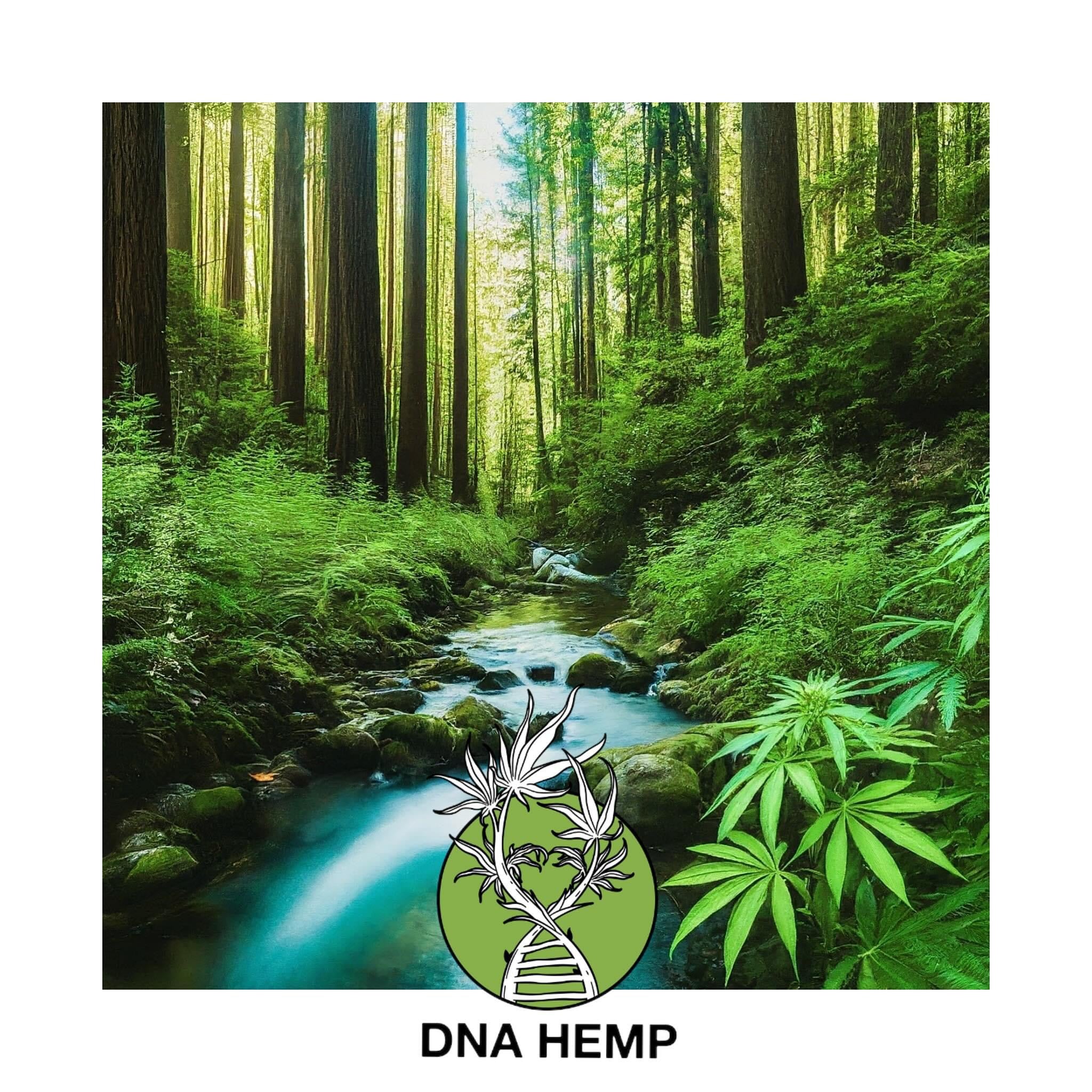 INDUSTRIAL HEMP: Fascinating Information – DNA Hemp