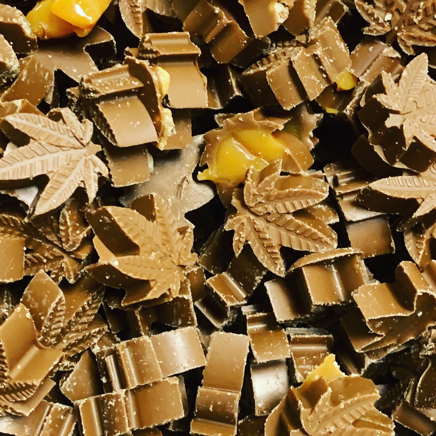 Recipes – DNA Hemp