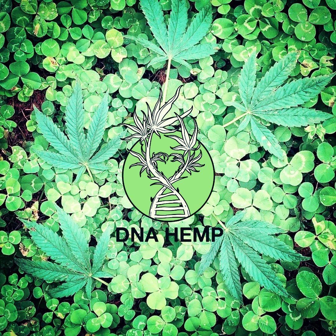 DNA HEMP – DNA Hemp